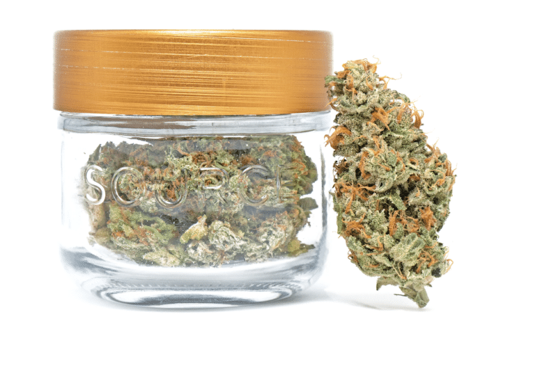 Cannabis Delivery in San Luis Obispo County - Osos Flower